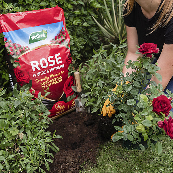Westland Peat-free Rose, shrub & tree Compost 50L – Shop And Drop